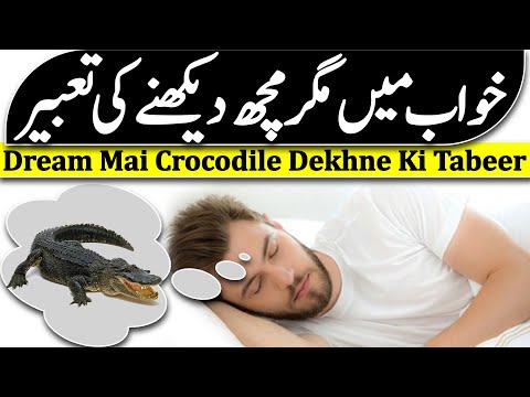 The meaning of seeing a crocodile in a dream | Dreams about crocodile | Khwab Mein Magarmach Dekhna