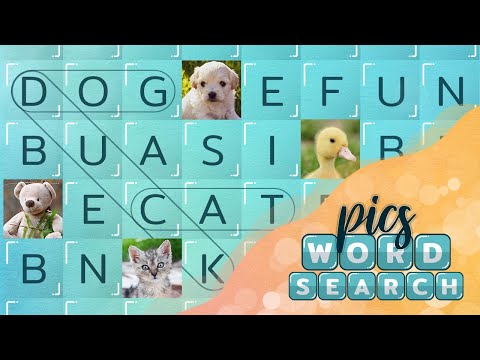 WP_9x16_18s_EN_5cats_findwords-old