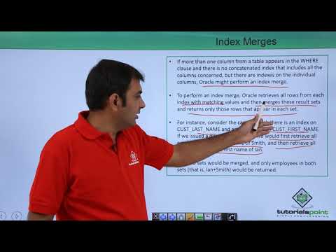 Indexes Overview and B Tree Index