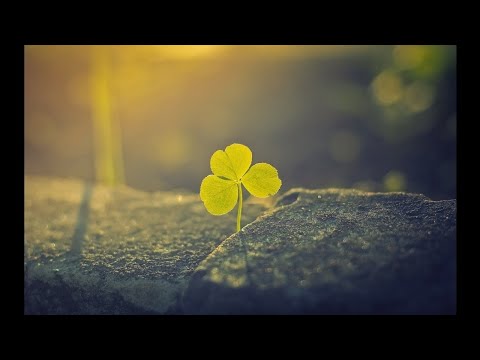 Oen Bearen - No Leaf Clover (2008 Rework)