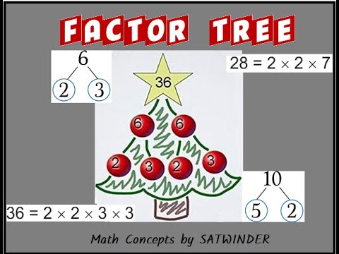 To draw a Factor Tree