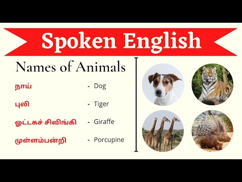 Animals names in Tamil and English with pictures || Spoken English for beginners || Ultramind
