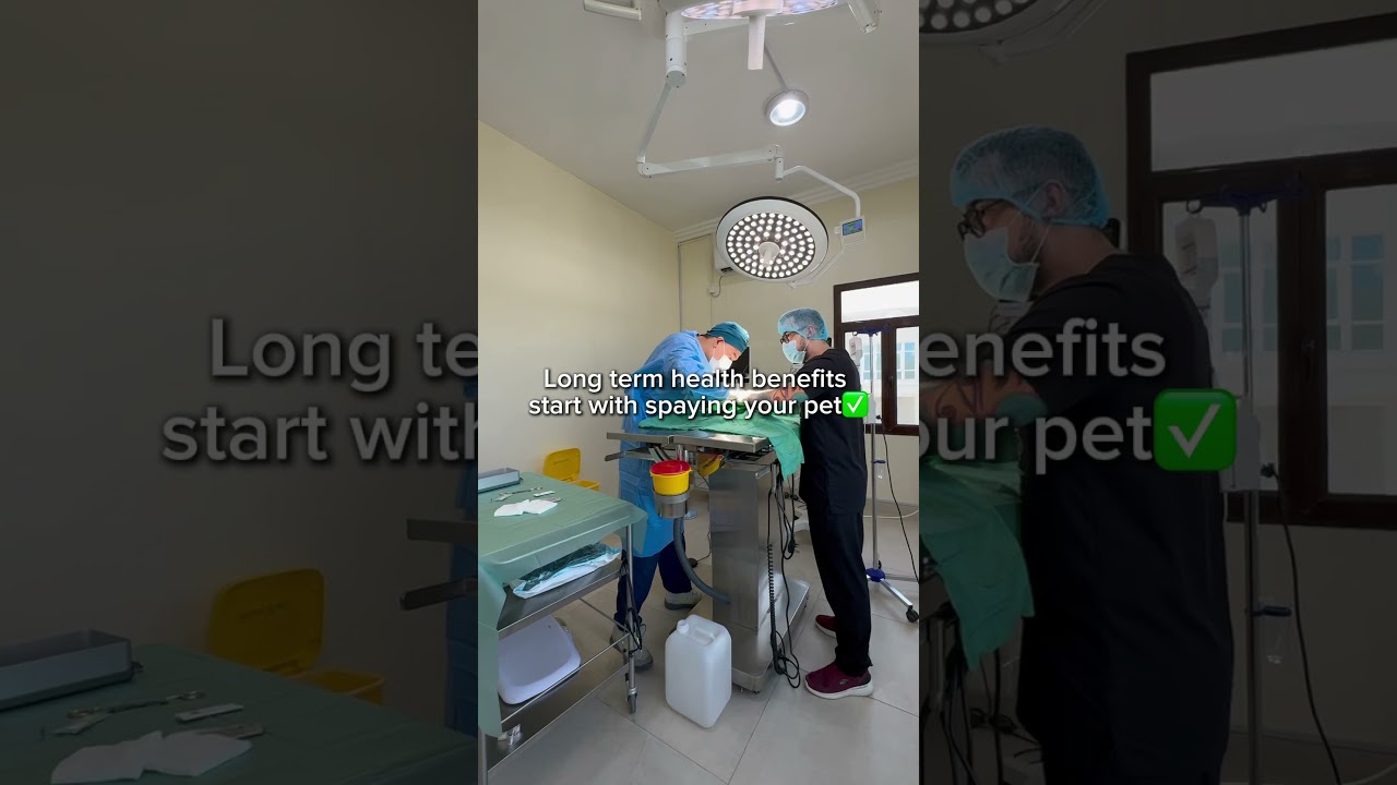 Healthy pets. Fewer strays. A better future🐾Spay and neuter with care at AVC! 💙