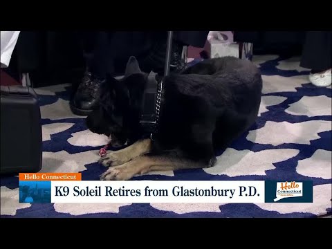 HELLO CONNECTICUT: Officer Neal Cavanaugh and K9 Soleil of the Glastonbury PD