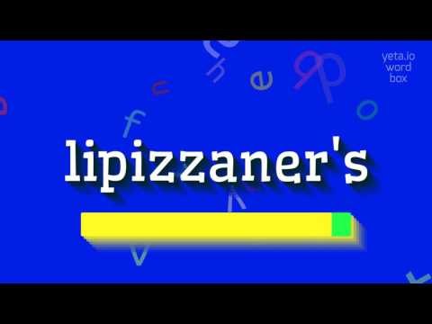 How to say "lipizzaner's"! (High Quality Voices)