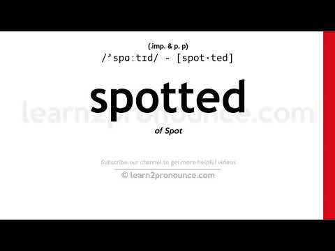Pronunciation of Spotted | Definition of Spotted
