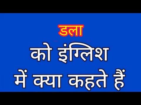 Dala ko english mein kya kahate hain | डला को इंग्लिश में क्या कहते हैं | Nugget meaning in hindi