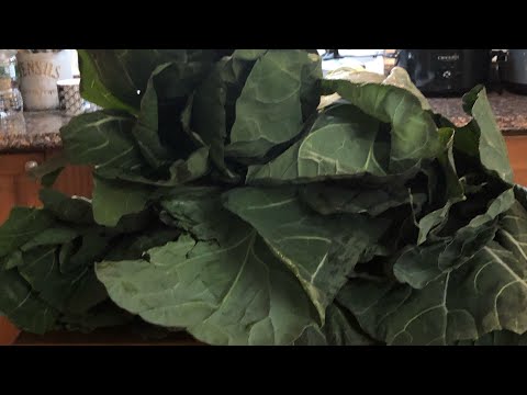 AMAZING ORGANIC COLLARDS - Supporting a Local Farmer EP 25