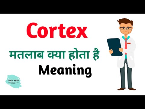 Cortex meaning in hindi | Cortex Kya Matlab hota hai | Daily use English words