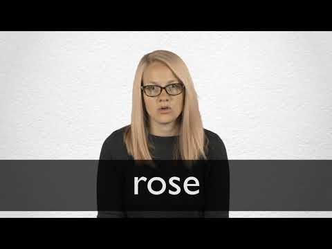 How to pronounce ROSE in British English