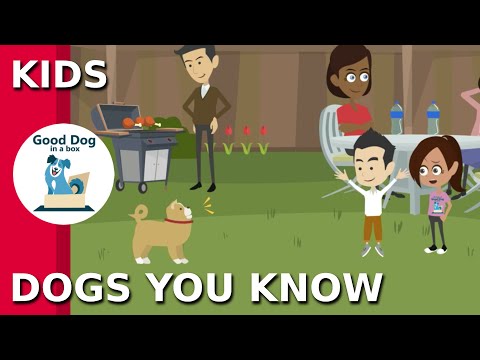 [DOGS YOU KNOW]: Be SAFE - Dog Safety Video for Kids | Good Dog In A Box (2019)