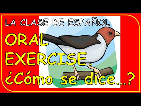 Animalsl in Spanish (How do you say...) / Los animales