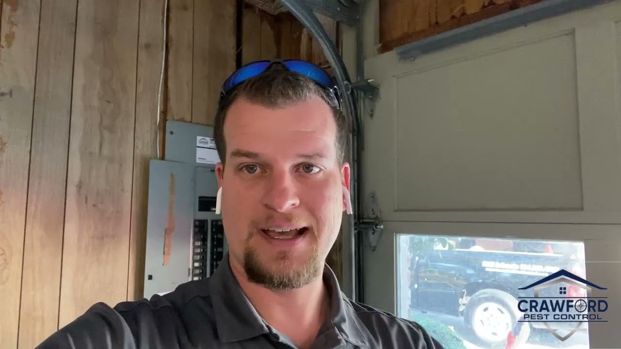 What Does Termite Damage Look Like & How to Treat Jacksonville, FL https://crawfordpestcontrol.com/
