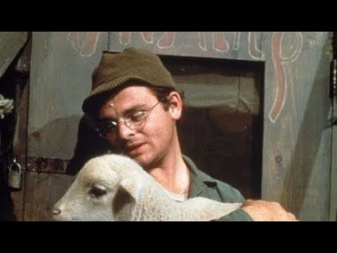 January 13, 2025 M*A*S*H _ #SouthKorea #TvShow #60s #70s #Sitcom #Reel #Short