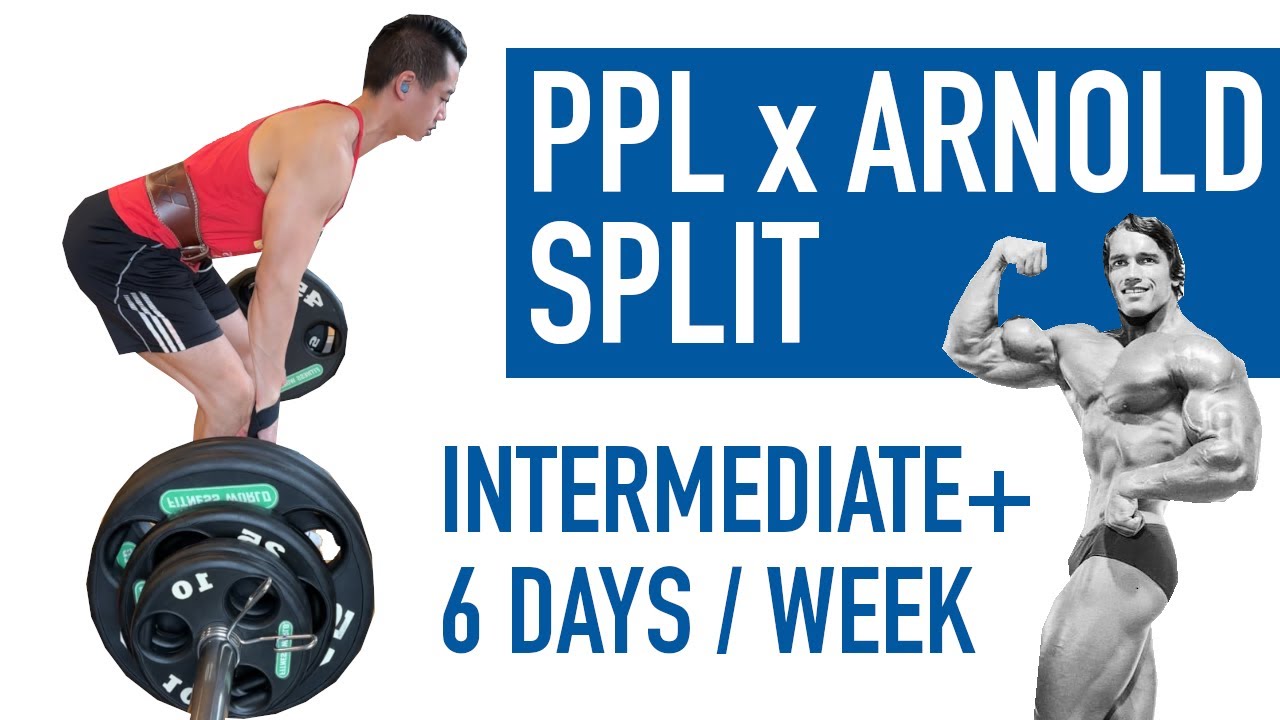 Push Pull Legs x Arnold Split Workout Plan (Fully Explained)