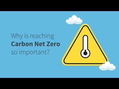 Carbon Net Zero: what does it really mean?
