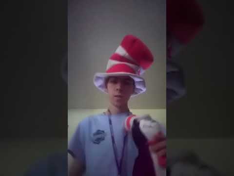 A Day For The Dat In The Hat & The Cat In The Hat