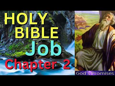 Job Holy Bible: Chapter 2 of 42 (fast concise overview audio book)