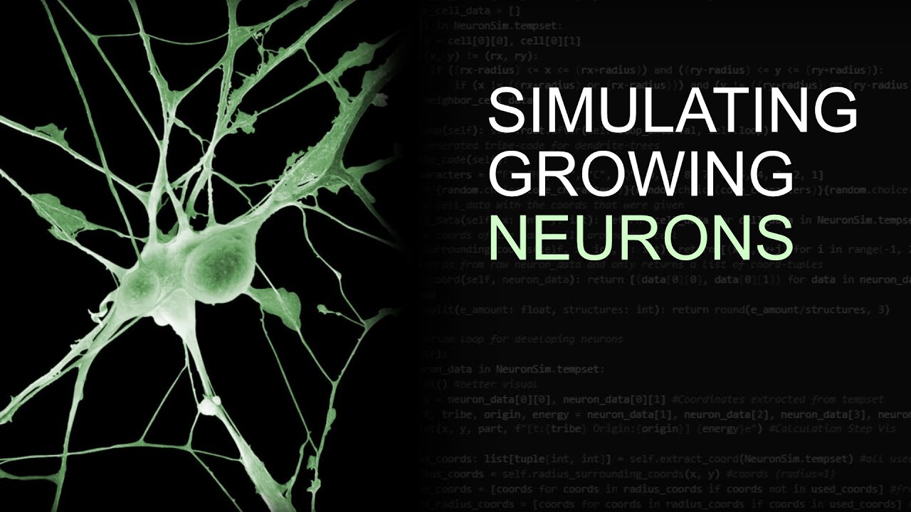 Simulating Neurons Grow using Python
