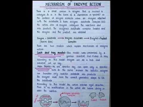 mechanism of enzyme lock and key model diagnosis #medical #viralvideo