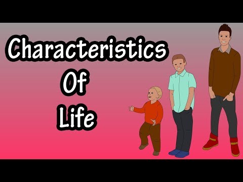The 10 (Ten) Characteristics Of Human Life