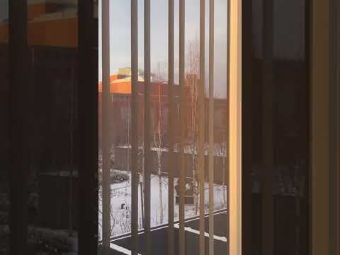 Things to Do in Anchorage, AK Anchorage Museum Full Video Coming #alaska #snow #museum #family