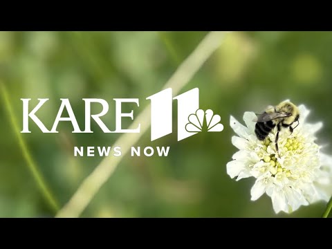 KARE 11 News Now Weather | Morning Edition - June 23