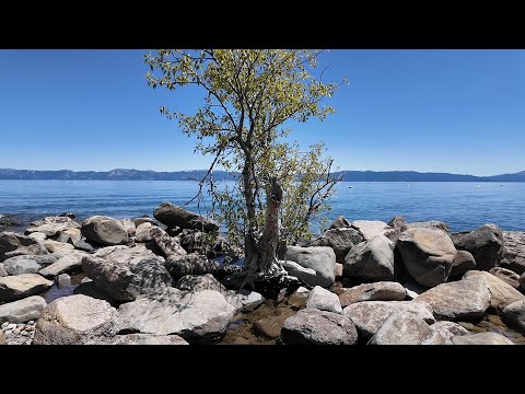 Camping, cooking and Bike riding around Lake Tahoe!