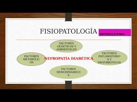 NEFROLOGIA TEORIA 12 : NEFROPATIA DIABETICA