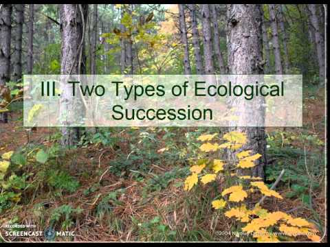 Succession (Theme 1 Topic 1 pg 5)