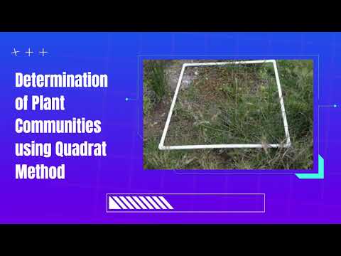 Study of Plant Communities Using Quadrat Method