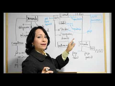 CLASE 4 - Proceso Monitorio