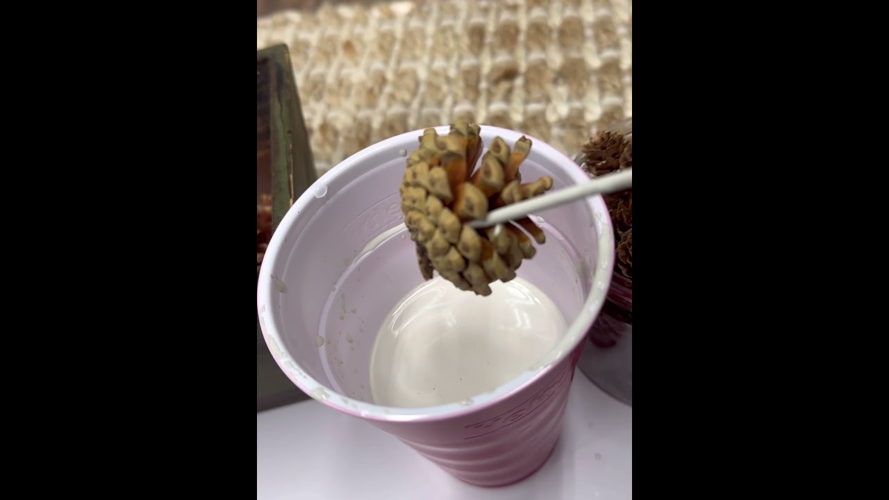 DIY HOW TO PAINT PINECONES #crafting #diy #easydiy