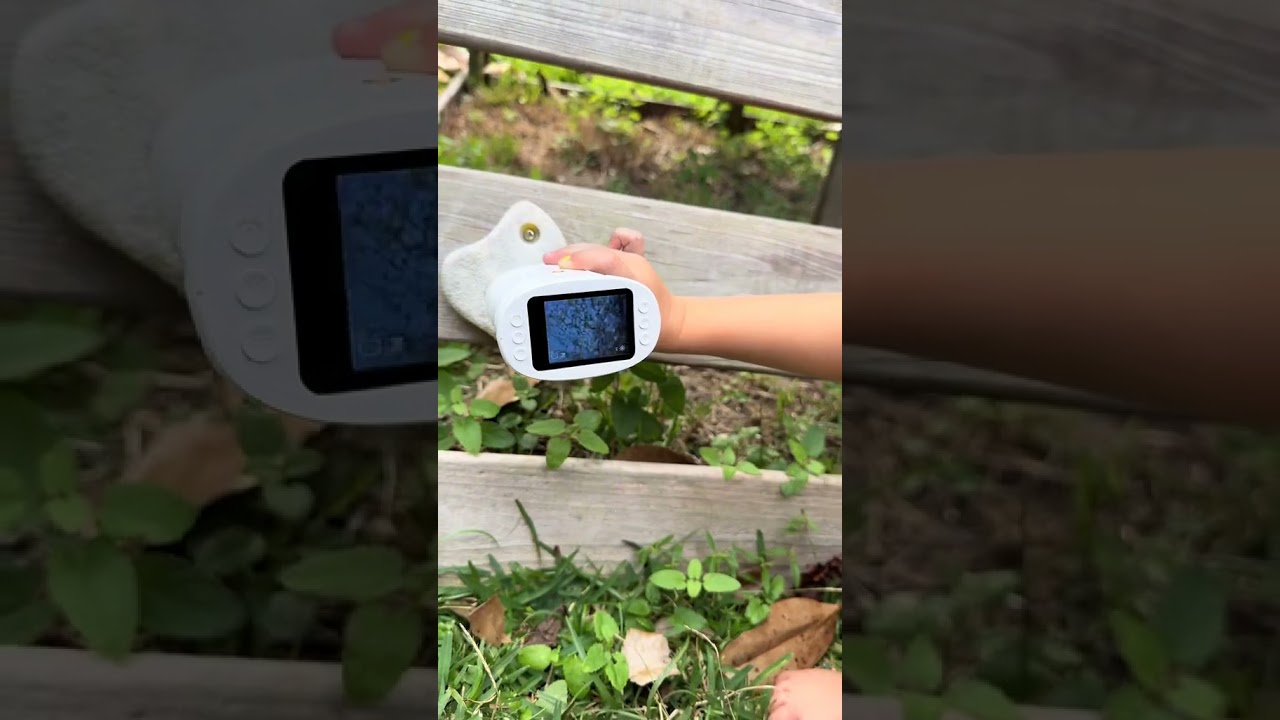 Zoom in on a whole new world — this handheld microscope shows kids every tiny detail with a bright
