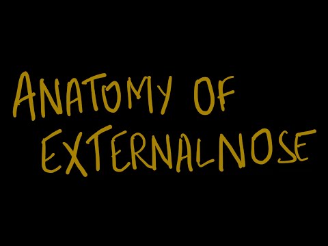ANATOMY OF EXTERNAL NOSE | NOSE | ENT | MBBS