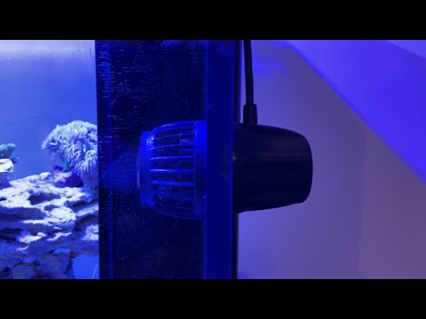 Product Question: Will an EcoTech VorTech MP10 work on 1/2” thick glass?