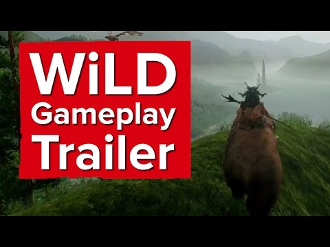 Wild Sheep Studio are looking for a VFX Artist for the game "Wild ...