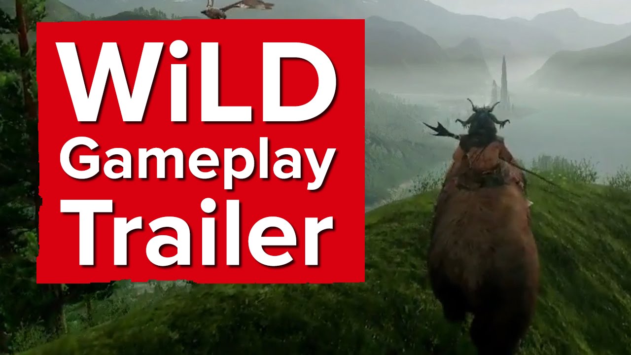Wild Sheep Studio are looking for a VFX Artist for the game "Wild ...