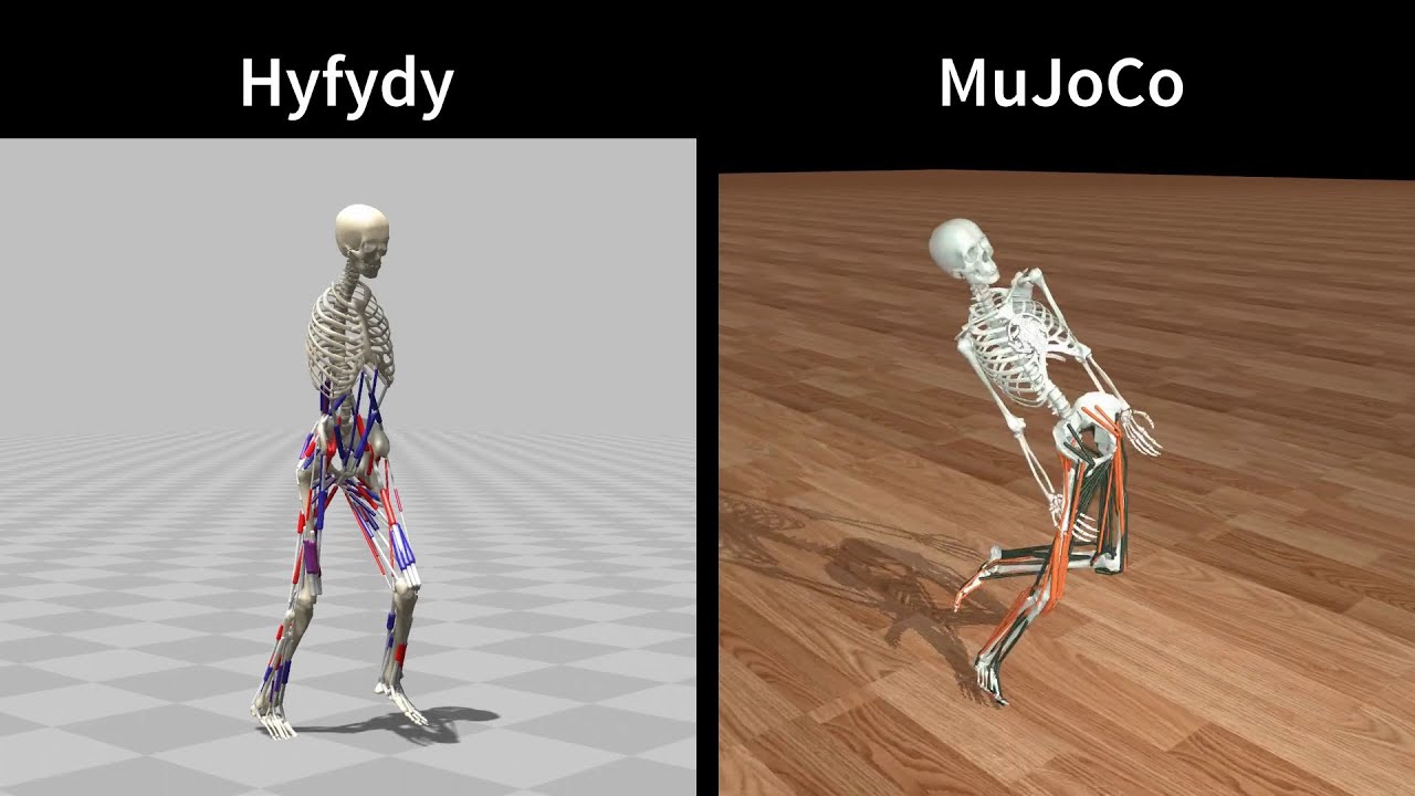 Hyfydy vs MuJoCo