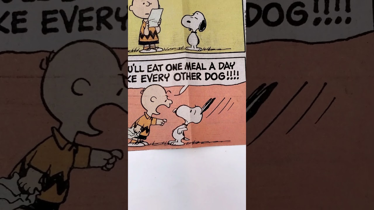 Snoopy and Charlie Brown Compromise ! Peanuts Comic Strip from August 10, 1969 | CollectPeanuts.com