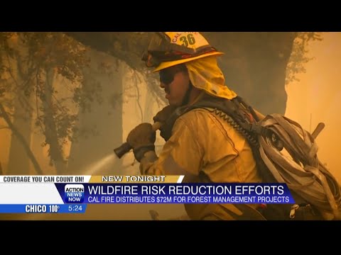 CAL FIRE awards $72 million in funds to reduce wildfire risk