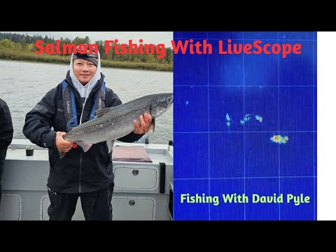 Latest Videos – Fishing With David Pyle