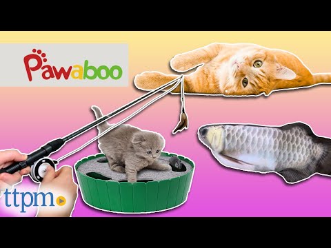 Kitties Review the Pawaboo Interactive & Feather Wand Cat Teaser Toys and Electric Fish Cat Toy!