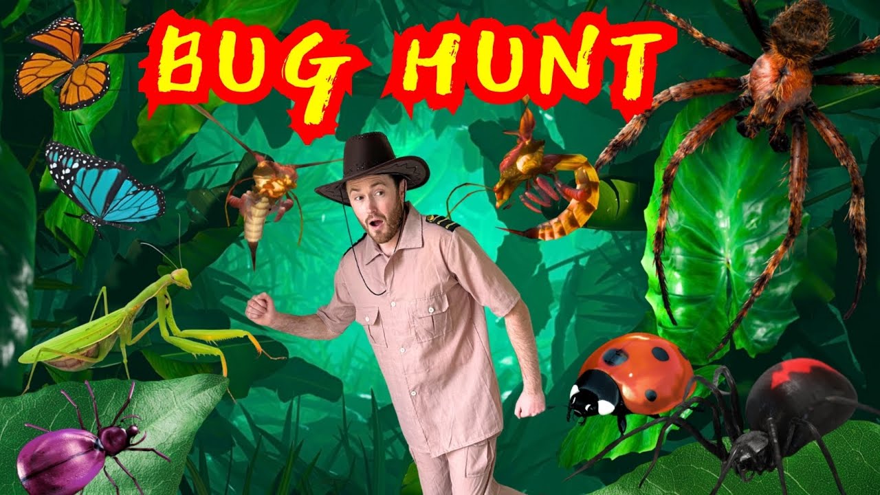 We're Going on a Bug Hunt | 🐜 Brain Break with Explorer Riley