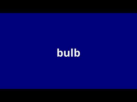what is the meaning of bulb.