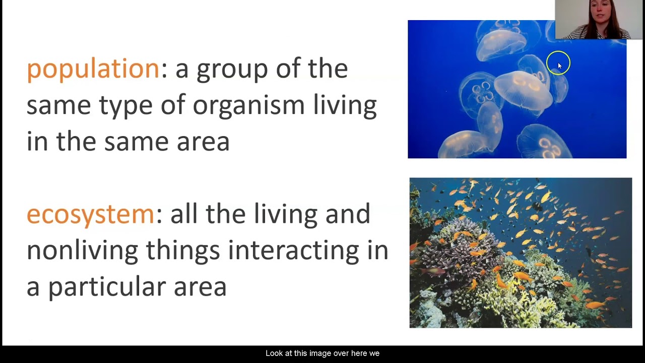 Science, Grade 7, 3/27 - Lesson 1, Populations and Resources