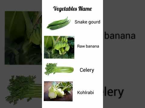 Vegetables Name in English #vegetablesname