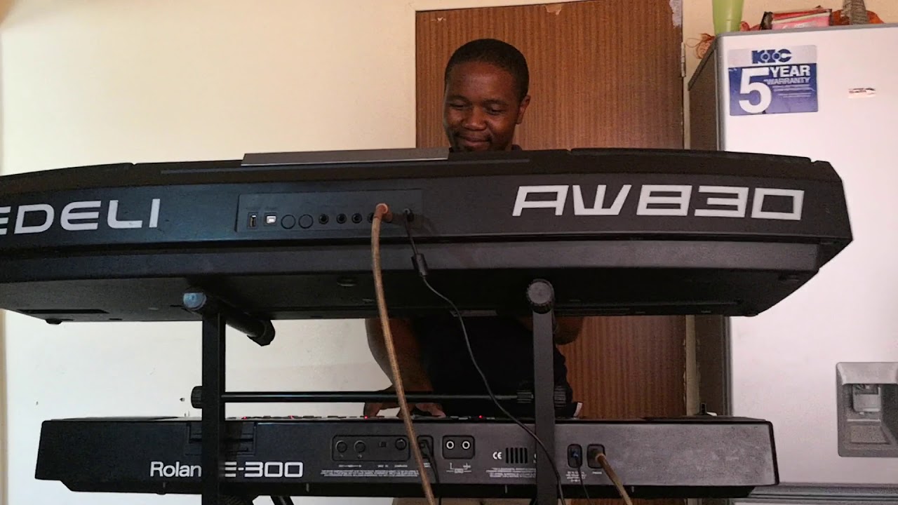 Medeli AW830 синтезатор, 76 клавиш купить в Москве в интернет-магазине ...