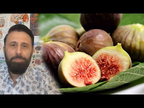 Vlera befasuese / FIKU ‘kurues’ nga kolesteroli, tensioni te stomaku…/Altin Joka: Ja sa të konsumoni