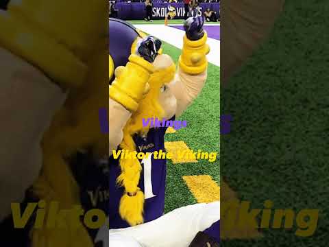 NFL Teams and their mascots (NFC North)